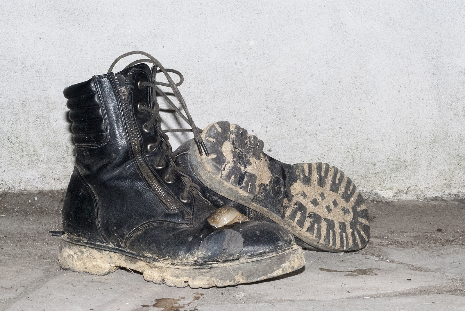 Try walking in my shoes – N I H I L S E N T I M E N T A L G I A